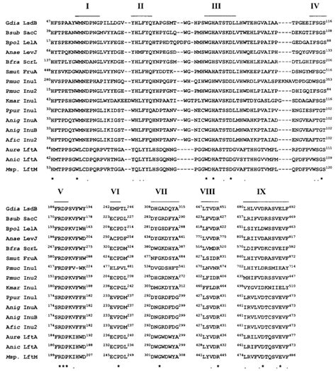 Partial Sequence Alignment Of Conserved Regions In Microbial