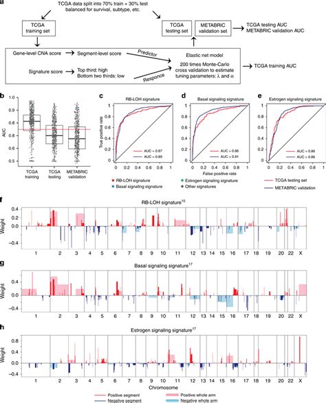 cna based elastic net prediction models for gene signatures in breast