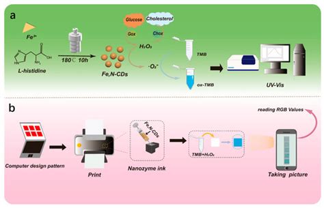 Facile Synthesis Of Iron And Nitrogen Co Doped Carbon Dot Nanozyme As Highly Efficient