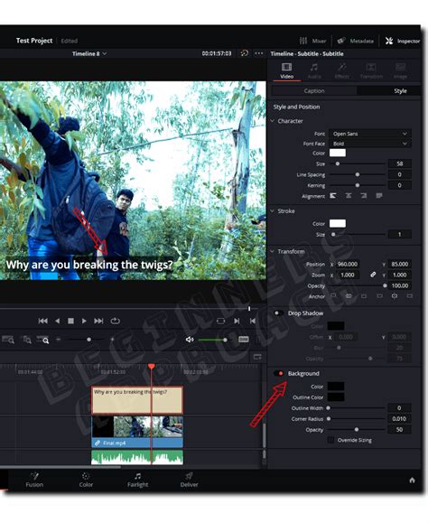 Davinci Resolve Add Import Subtitles 3 Must Know Tips