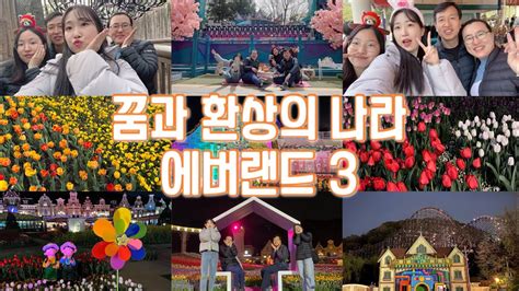 Vlog 🦋에버랜드 3편 놀이공원 가족데이트 티익스프레스 파채떡볶이 치킨 문라이트 퍼레이드 타임 오딧세이 불꽃놀이