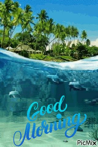 Dolphins In Ocean Good Morning Quotes S  Good Morning Good