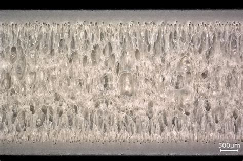 Physical Foaming Japan Steel Works Steel Production And Manufacturing