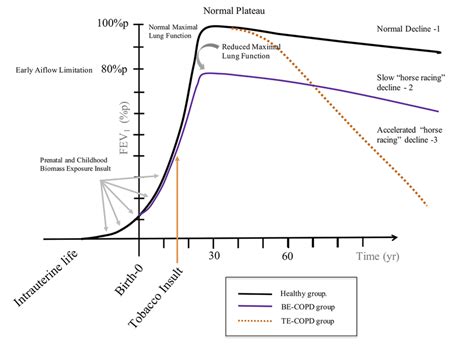 This Figure Exposes Three Different Trajectories Of Lung Function