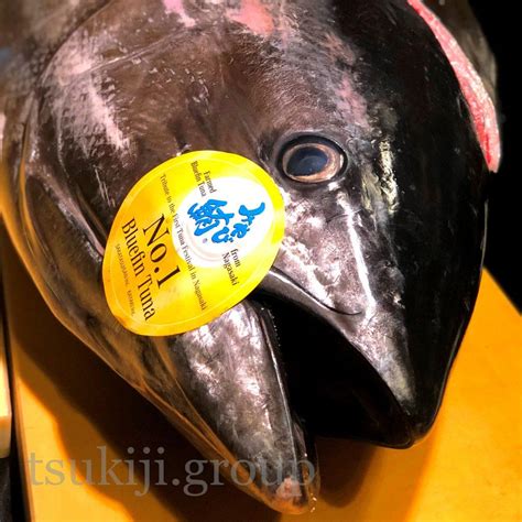 Тунец Блюфин тушка c/г, охл. (Bluefin Tuna Smi-Dress) купить в интернет ...