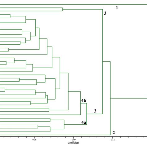 Dendrogram Based On Dice Genetic Similarity Matrix Based On Ssr And