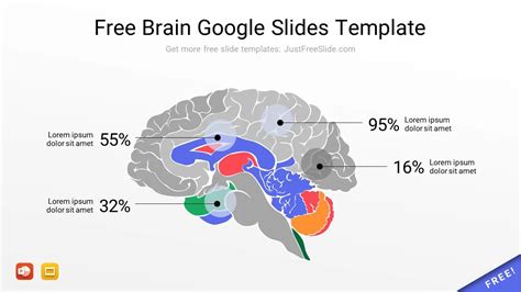 Free Brain Google Slides Template Pages Just Free Slide