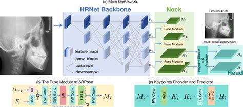 Revisiting Cephalometric Landmark Detection From The View Of Human Pose Estimation With