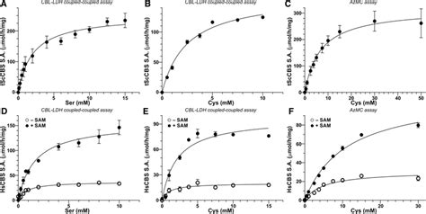 Enzyme Kinetics Steady State Enzyme Kinetics Was Performed For TScCBS Download Scientific