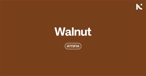 Walnut Color Meaning Hex Code Palettes Images