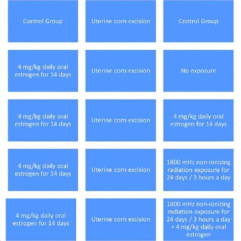 Algorithm Showing The Study Design Download Scientific Diagram