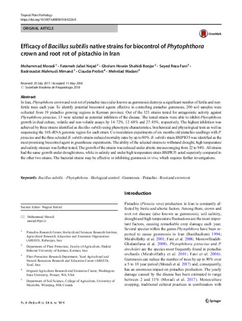 Pdf Efficacy Of Bacillus Subtilis Native Strains For Biocontrol Of Phytophthora Crown And Root