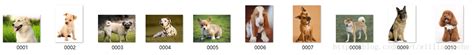 faster rcnn·pascal voc数据集·制作 生成 annotations xml csdn博客
