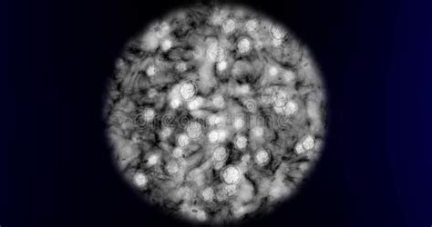 Microscope Bacteria Virus Molecules And Healthcare Research For