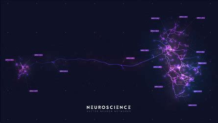 Neuron System Complex Model Neural Net Structure Vector Image