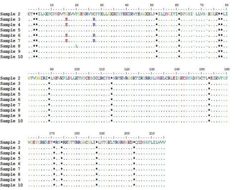 protein sequence alignment of partial 18s rrna of the nine isolates of