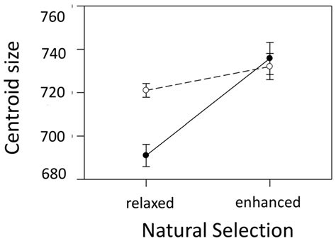 The Effect Of Natural And Sexual Selection On Genital Size Measured As Download Scientific