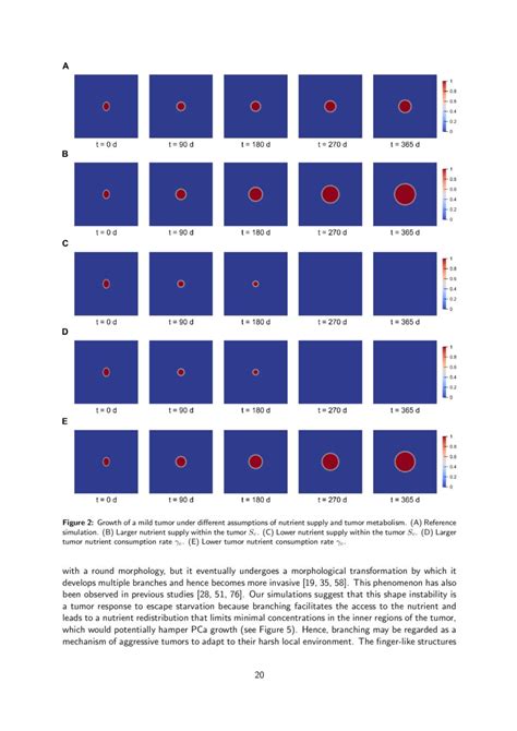 Mathematical Analysis And Simulation Study Of A Phase Field Model Of Prostate Cancer Growth With