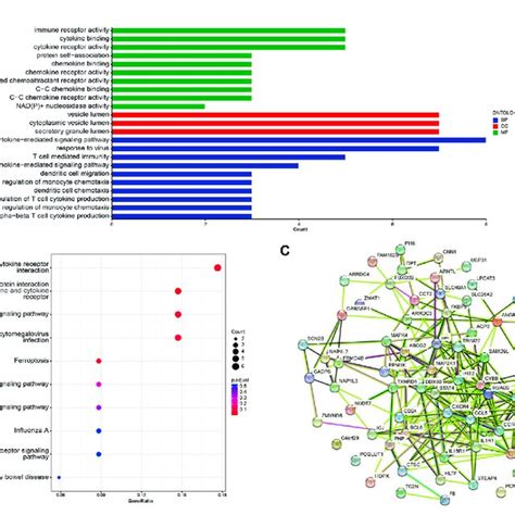 Functional And Pathway Analysis By Gsva Enrichment Analysis In Hf And Download Scientific
