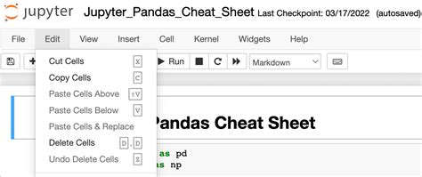A Data Engineers Cheat Sheet On Pandas And Jupyter Notebooks By