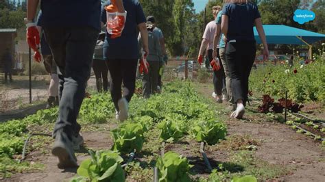 Futureforce Salesforce University Recruiting On Linkedin Salesforce One Of Peoples Companies