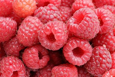 Raspberry Definition Of Raspberry