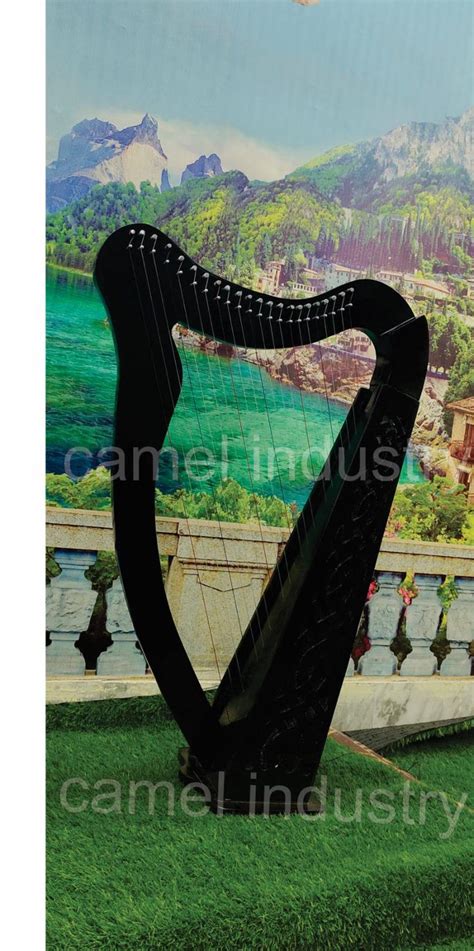 22 Lyre String Harp Rosewood Wood Harp Nylon String Harp Extra Strings Free Tuning Key And