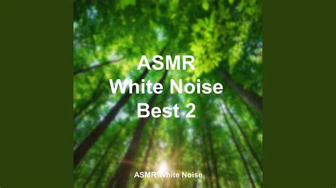 Asmr 마음이 힐링되는 숲소리 백색소음 Youtube