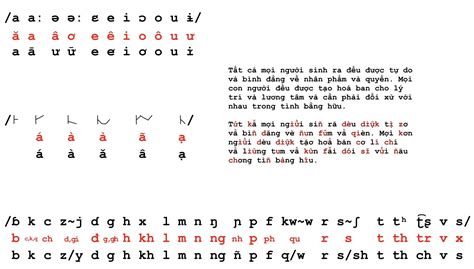 Vietnamese Spelling Reform R Neography