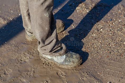 Very Dirty Area Problems Of Local Residents During The Rainy Season Stock Photo Image Of