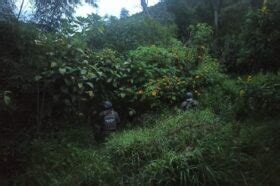 Baixar Ativador Office KMSPico Ative Fácil e Rápido