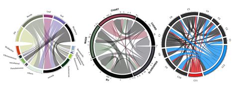 these pretty chord diagrams were all made by matlab