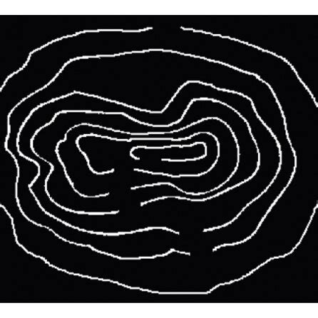 Demonstration Of The Connected Domain Segmentation Technology A Download Scientific Diagram