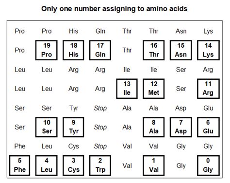 New Alphanumeric Nomenclature Of The 20 Proteinogenic Amino Acids