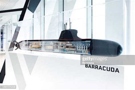 Cross Section Of Nuclear Sub