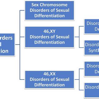 Differential Diagnosis In Isolated Disorders Of Sex Development Download Scientific Diagram