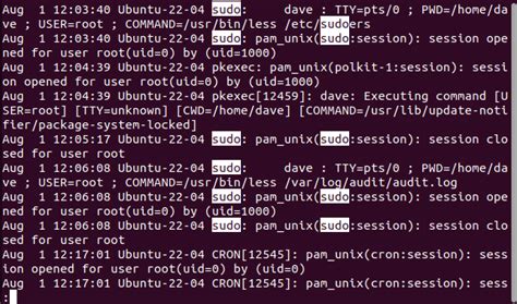 How To Review Sudo Command Usage On Linux