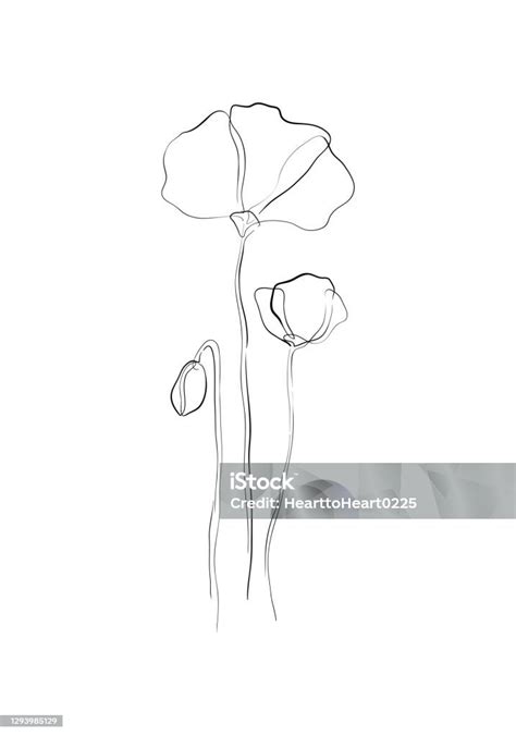 라인 아트 양귀비 꽃 미니멀 리스트 윤곽 그리기 디자인 리니어 아트를 위한 원 라인 아트워크 플로럴 패턴 한붓그리기에 대한 스톡