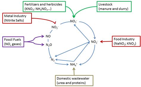 New Uses Of Haloarchaeal Species In Bioremediation Processes Intechopen