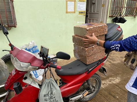 Crediball Pythons Reptile Crediball Pythons Reptile Farm