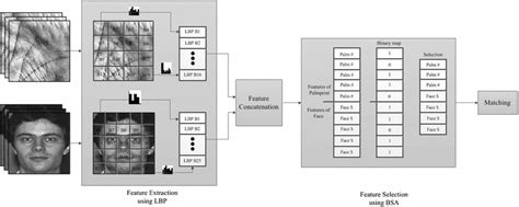 Block Diagram Of Feature Extraction And Feature Selection Stages Of The