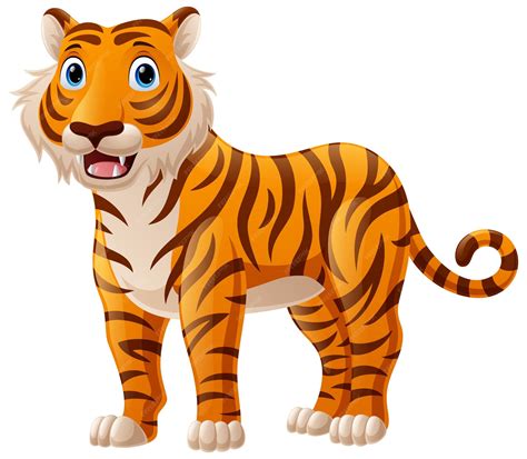 Premium Vector Cute Tiger Cartoon On White Background