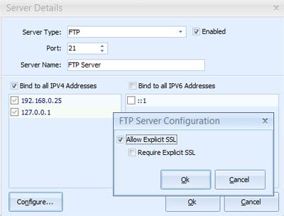 FileCOPA Manual Servers FTP Server
