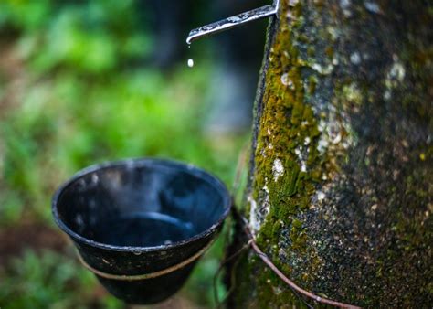 Yulex 2 0 Outdoor Swimmer Magazine