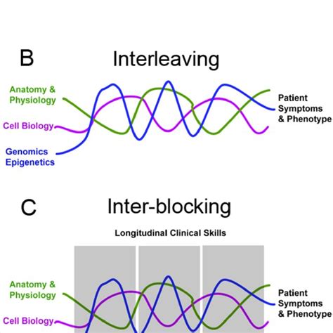 Framework For Integrating Biomedical Knowledge With Clinical Skills Download Scientific Diagram