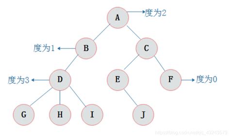 二叉树结点的计算二叉树节点和度的计算 Csdn博客