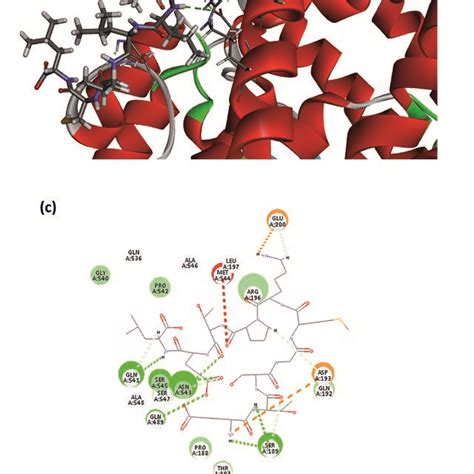 A 3d Illustration Of The Expected Interactions Between The Synthesized