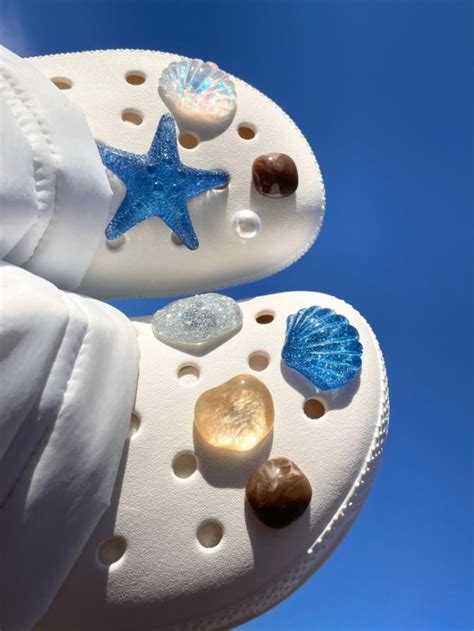 에이민아 영롱한 겨울바다 조개지비츠 세트8set 위시버킷