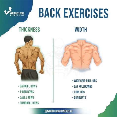 Back Exercises Quick Workout Routine Gym Workout Guide Gym Workout Tips