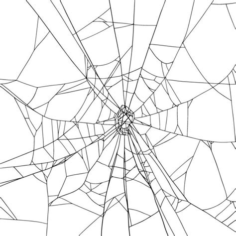 Spider Web Texture Vector Art Icons And Graphics For Free Download